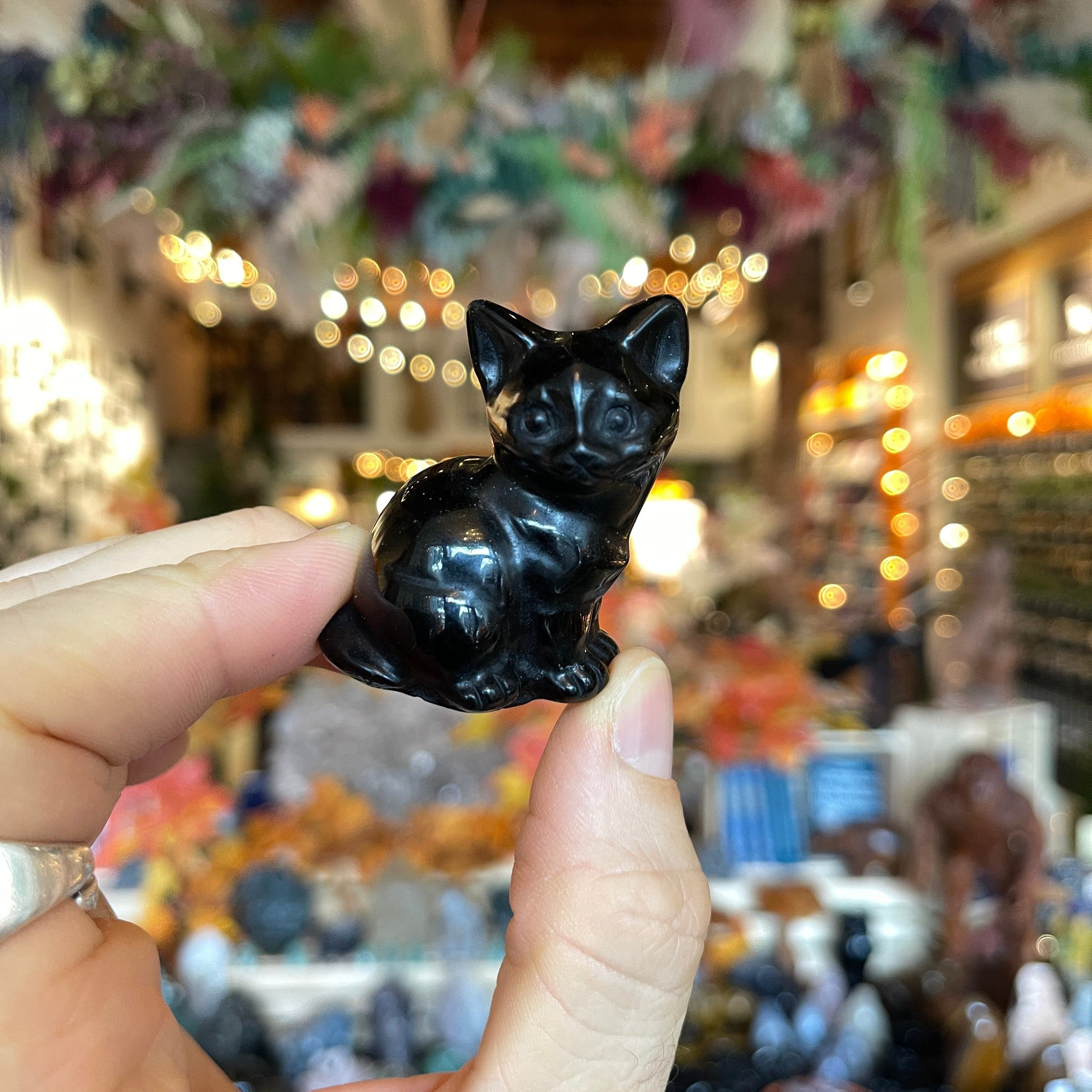 Obsidian Cat – Ravenstone